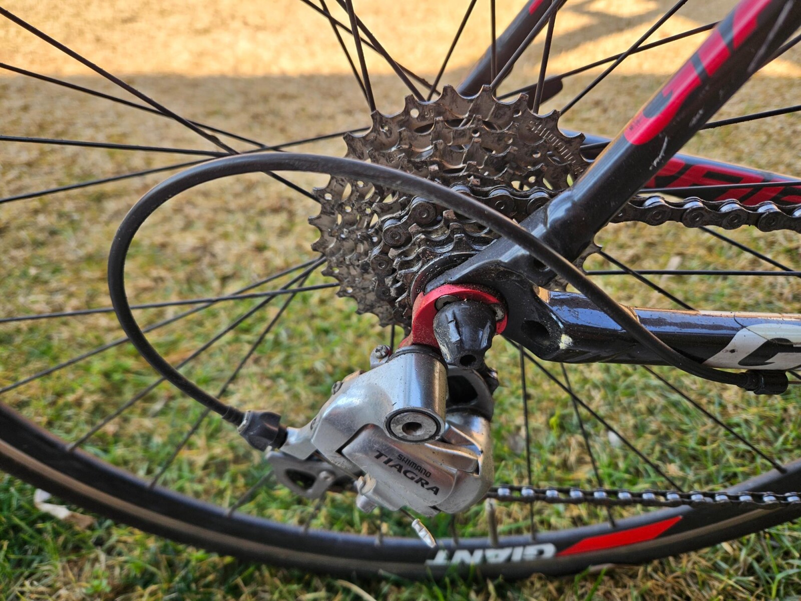 Giant rapid 2 | Road Bikes | Bike Hub