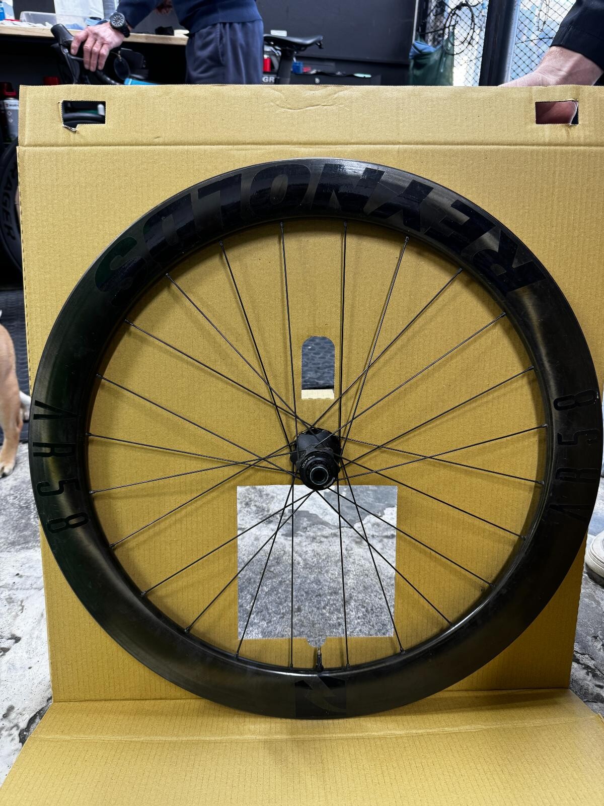 Reynolds AR56 Wheelset For Sale | Road Bike Wheels | Bike Hub