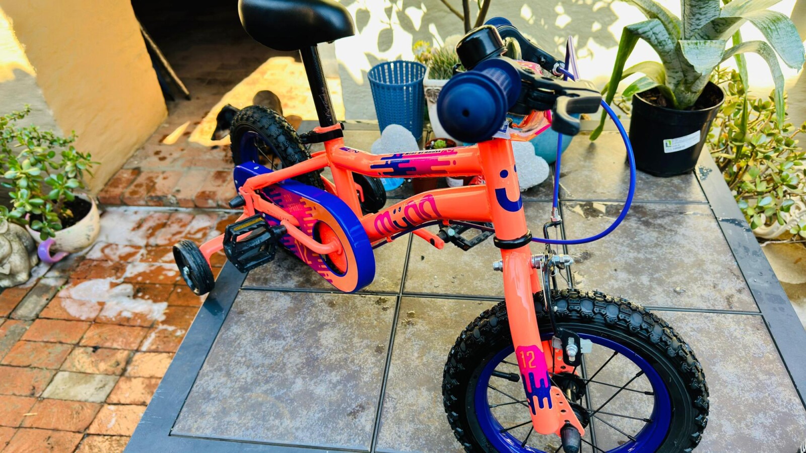 MUNN 12 Mini Sparkle bike | Kids Bikes | Bike Hub