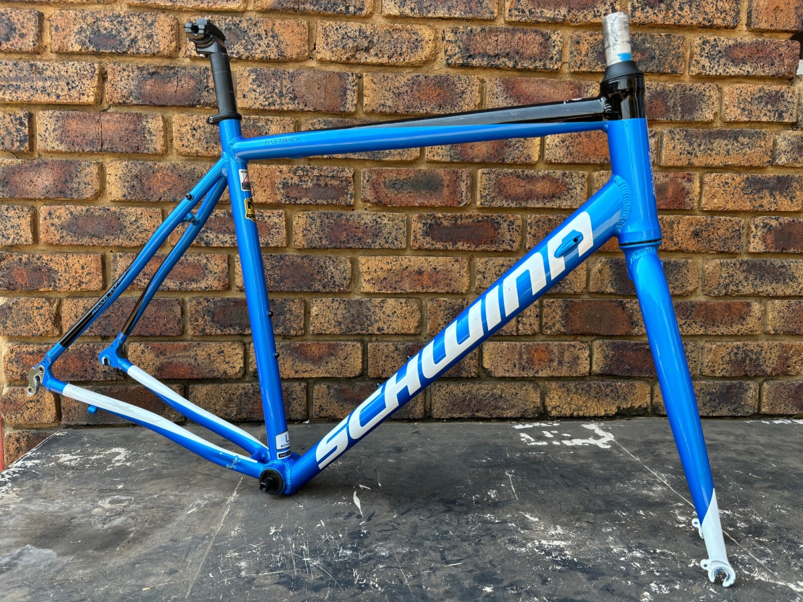 Schwinn fastback frame | Road Bike Frames | Bike Hub