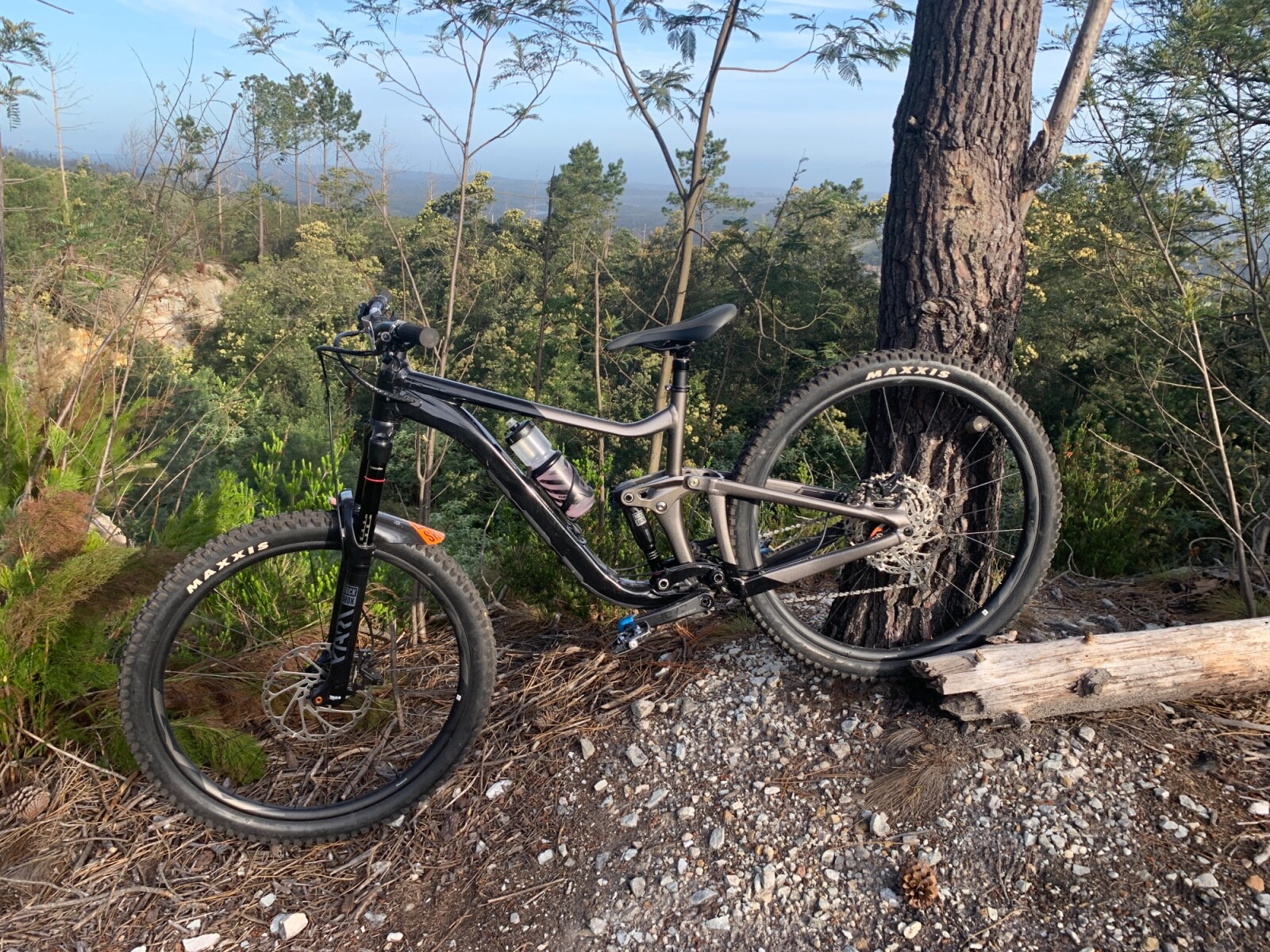 Giant REIGN 29er 2 | Dual Suspension Mountain Bikes | Bike Hub