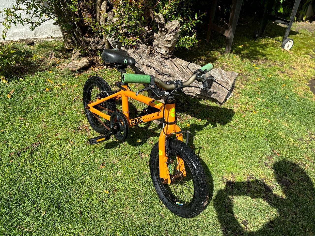 14" Frog Bike | Kids Bikes | Bike Hub