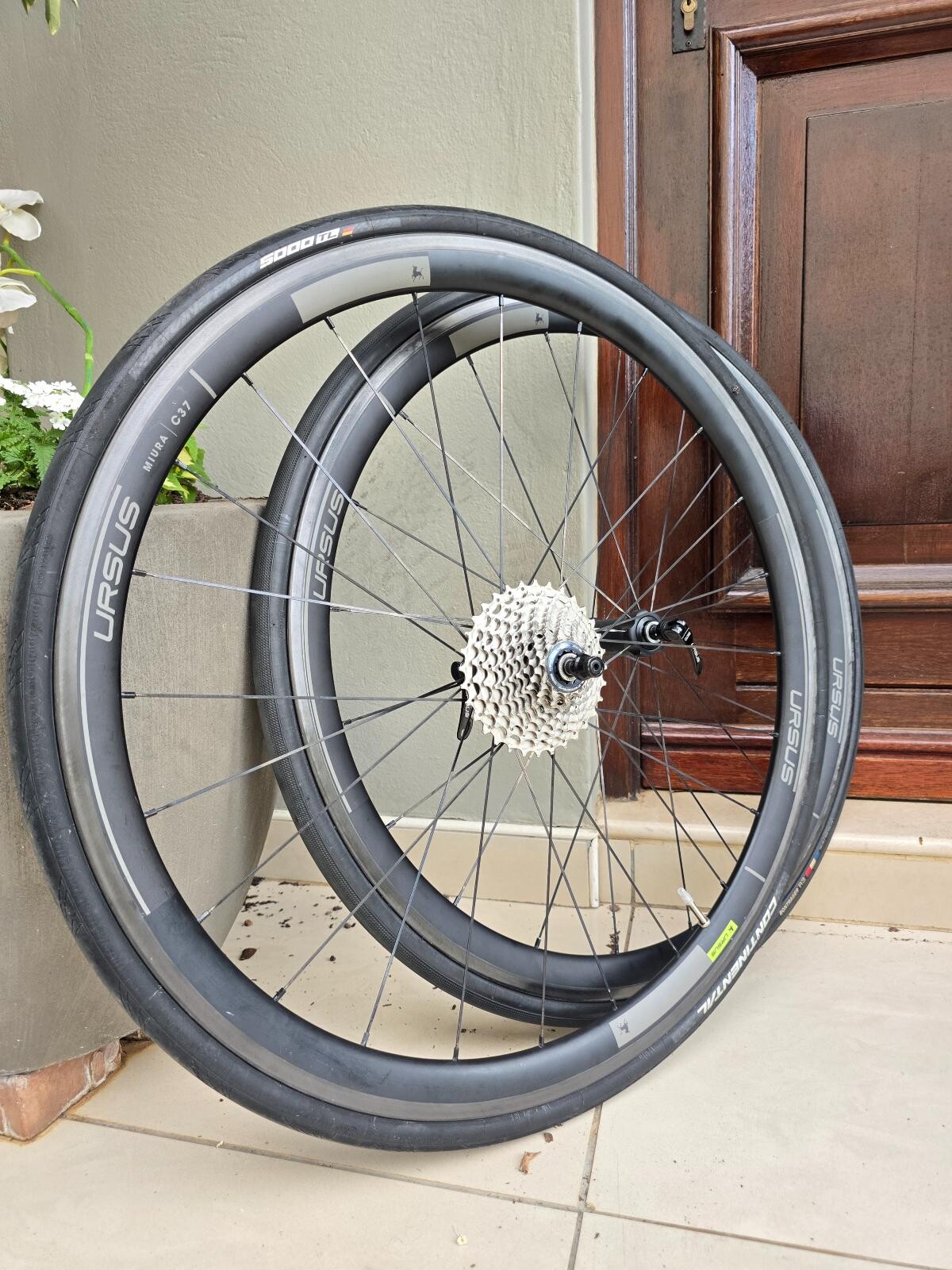 URSUS MIURA C37 **11SPD-Carbon** | Road Bike Wheels | Bike Hub