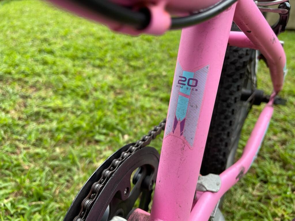 Girls Pink Avalanche Bike | Kids Bikes | Bike Hub