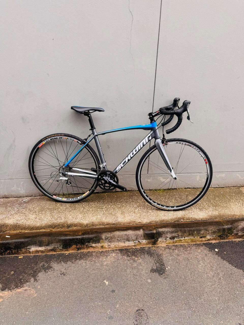 Schwinn Fastback (2024 frameset) | Road Bikes | Bike Hub