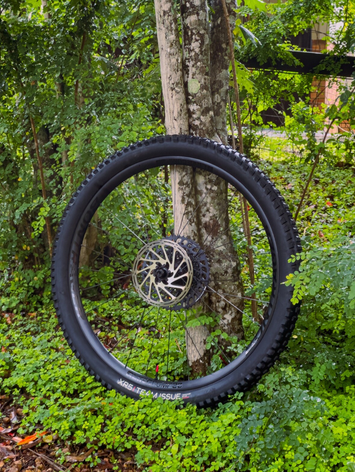 Bontrager Line Comp 30 TLR Boost 29er rear wheel | Mountain Bike Wheels ...