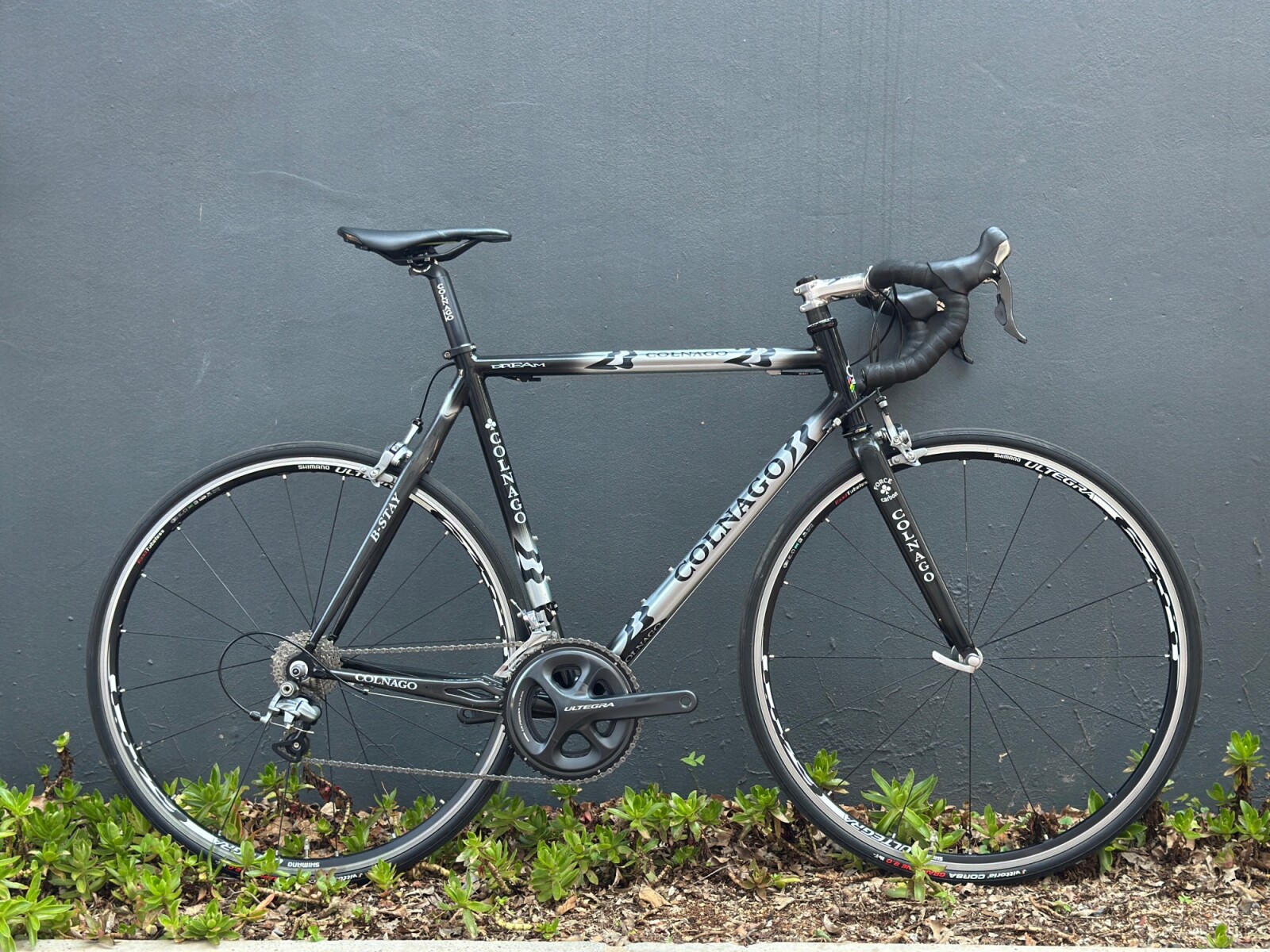 *collectors* Colnago Dream HP B-Stay | Road Bikes | Bike Hub