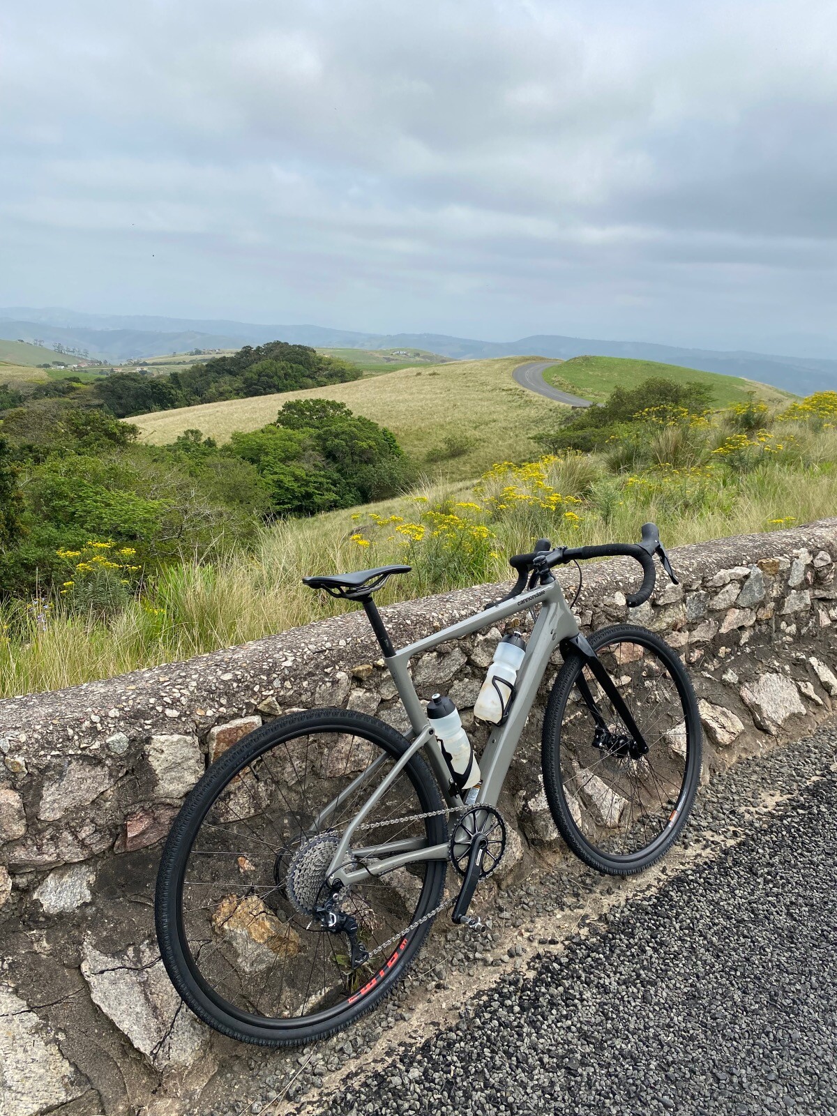 2022 Custom Canondale Topstone Lefty 3 | Gravel Bikes | Bike Hub