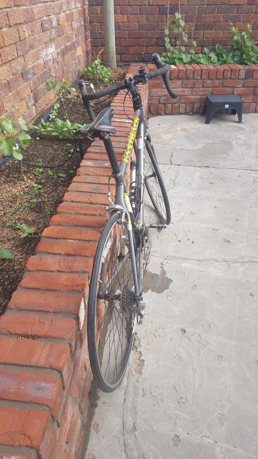 Schwinn Fastback | Road Bikes | Bike Hub