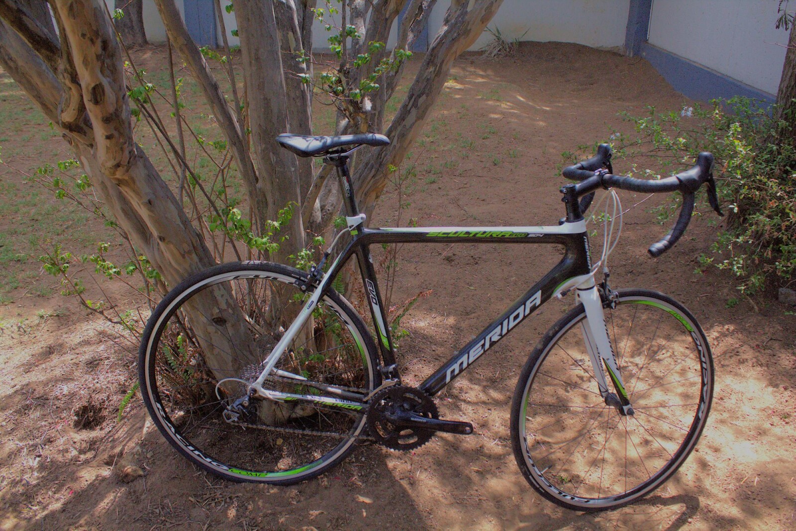 Merida Scultura EVO 904 | Road Bikes | Bike Hub