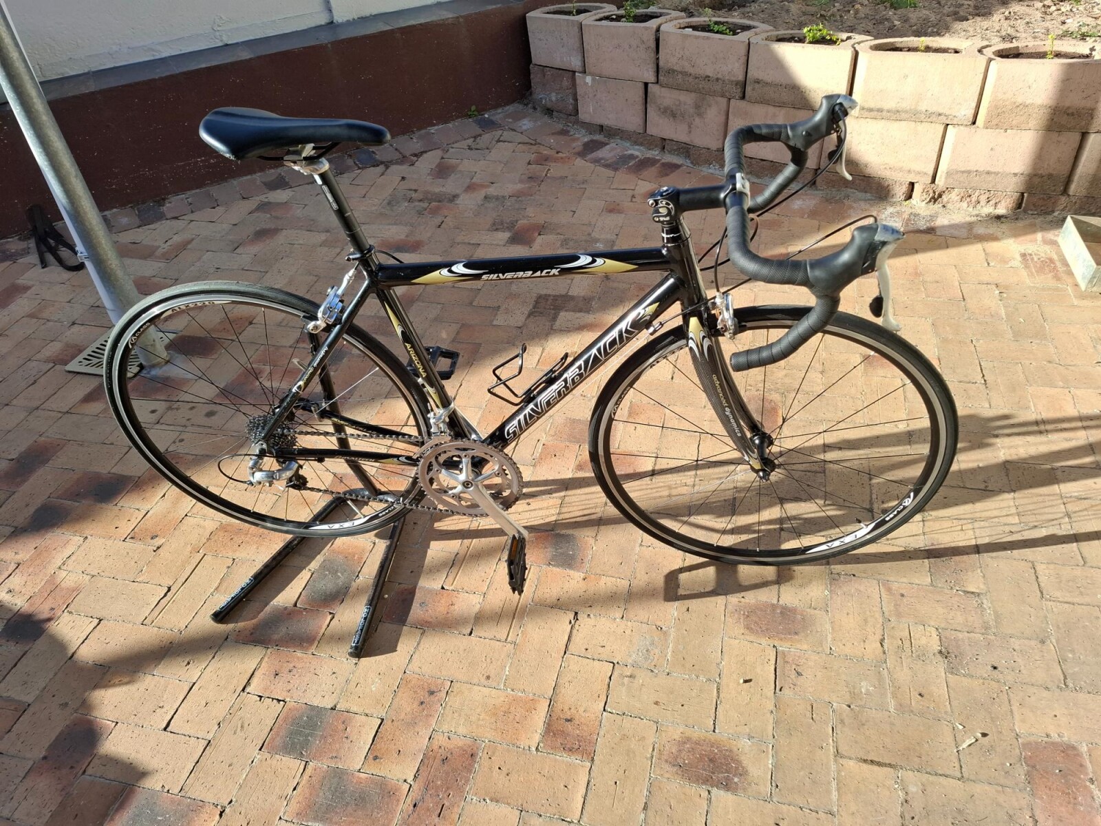 Silverback Arizona | Road Bikes | Bike Hub