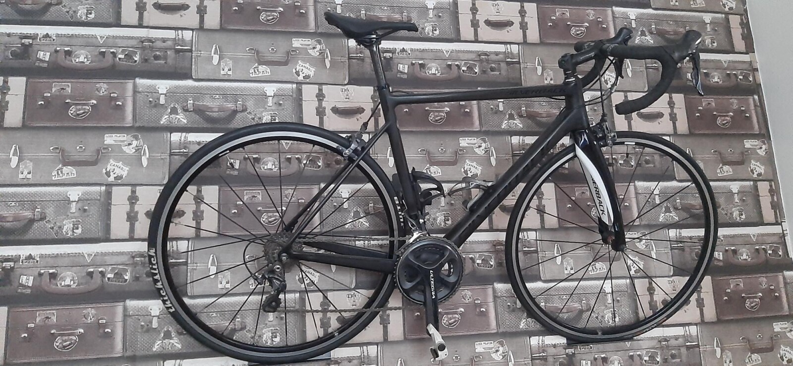 Silverback sirelli | Road Bikes | Bike Hub