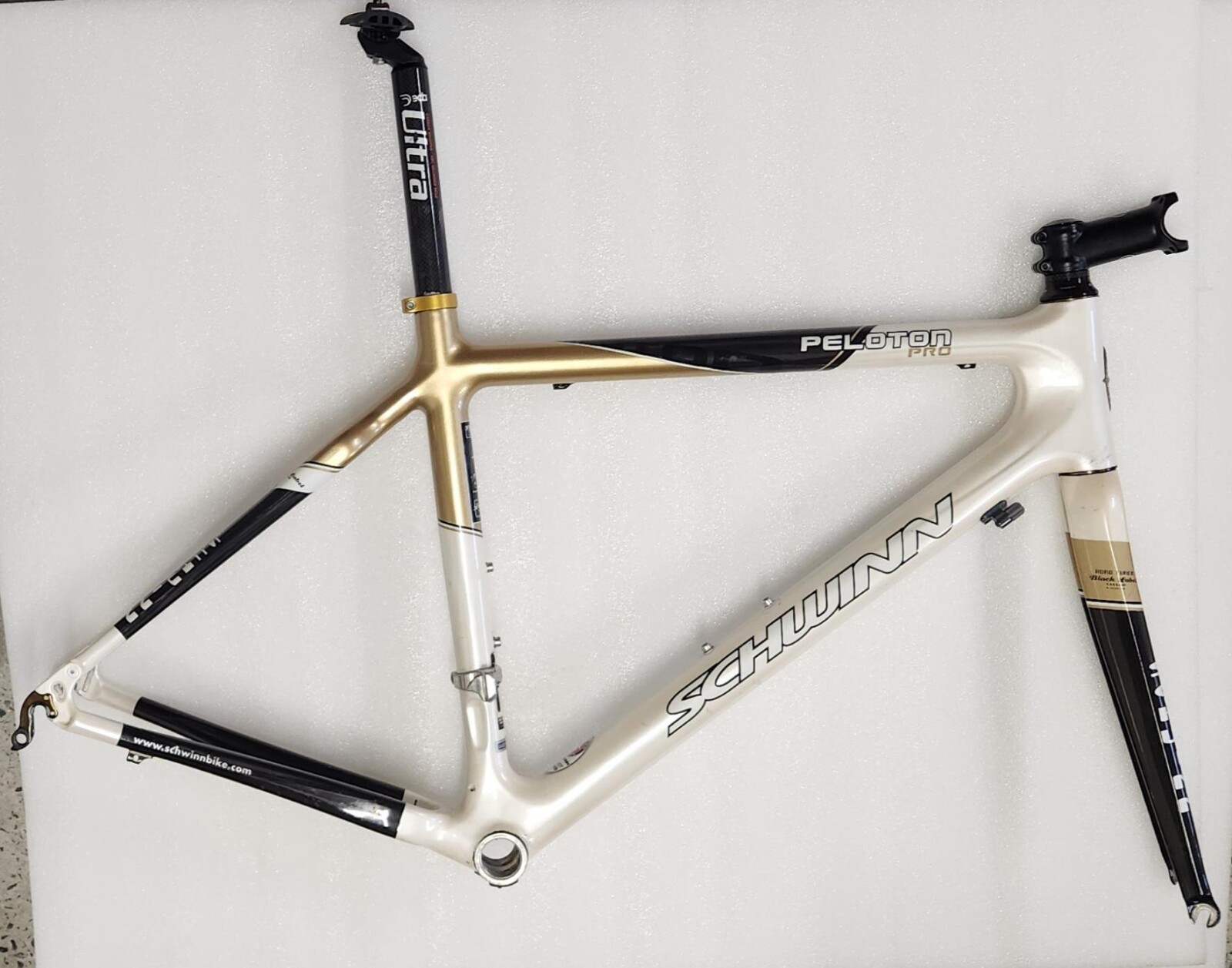 Schwinn Peloton Pro Carbon Frame | Road Bike Frames | Bike Hub