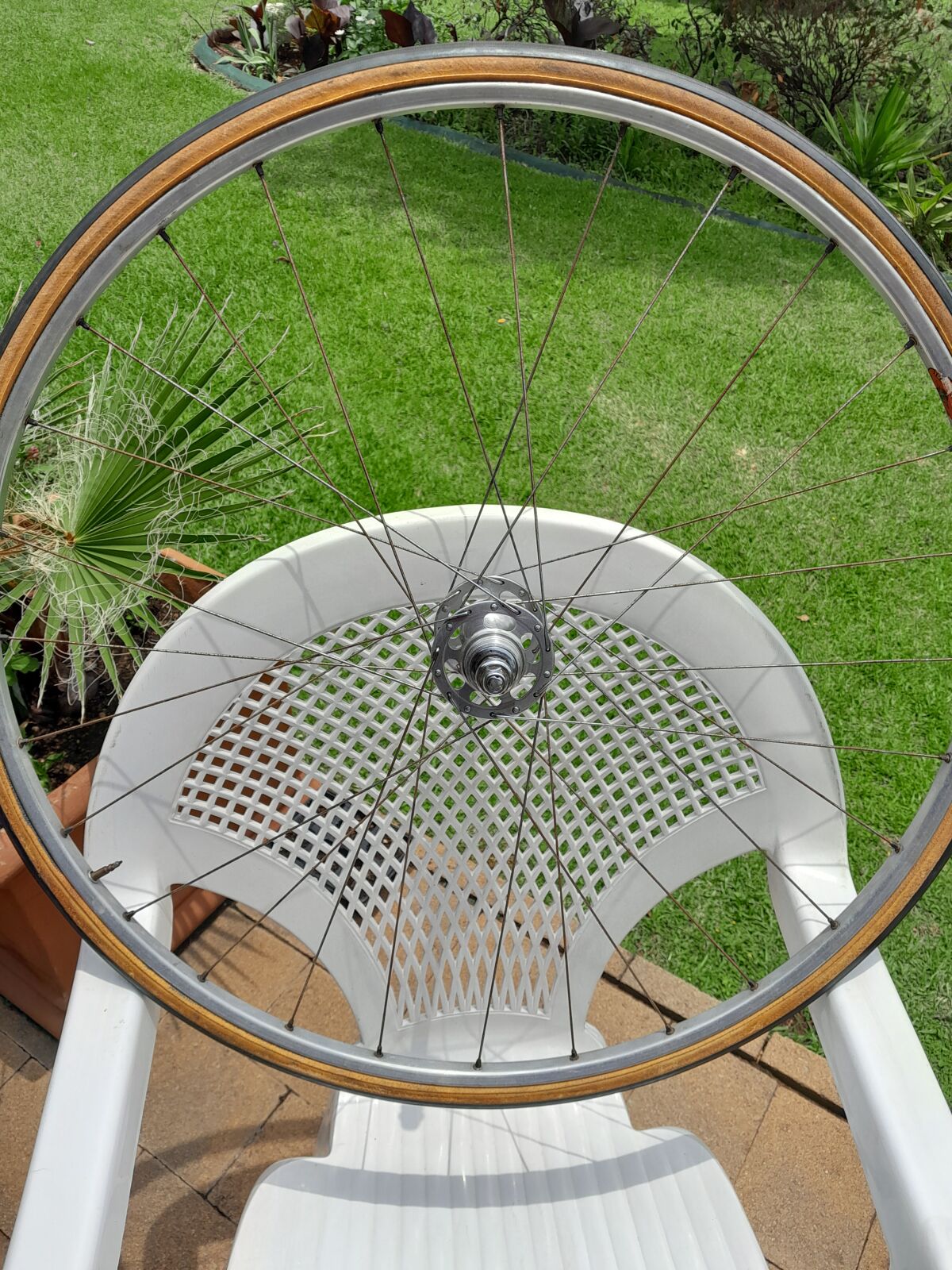 Vintage Campag Track Wheels | Vintage Components | Bike Hub