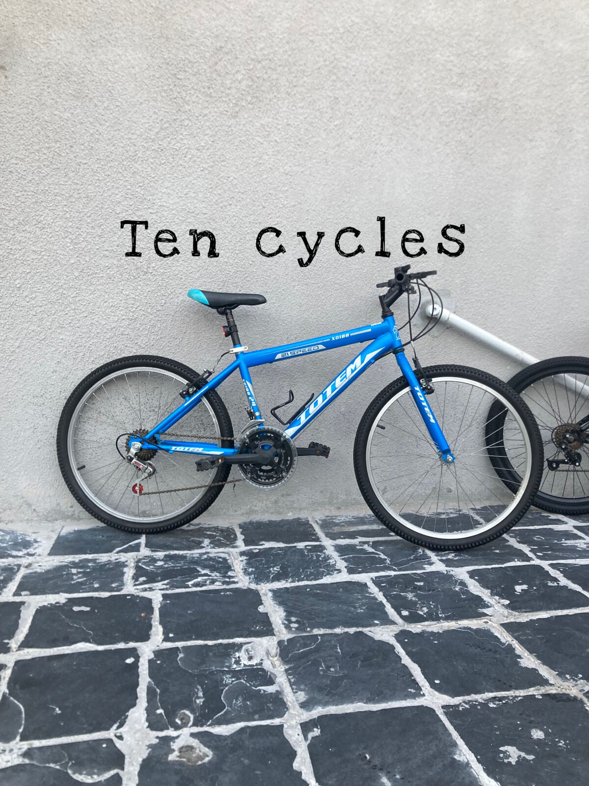 TOTEM 24 Inch Mountain bike for sale | Kids Bikes | Bike Hub