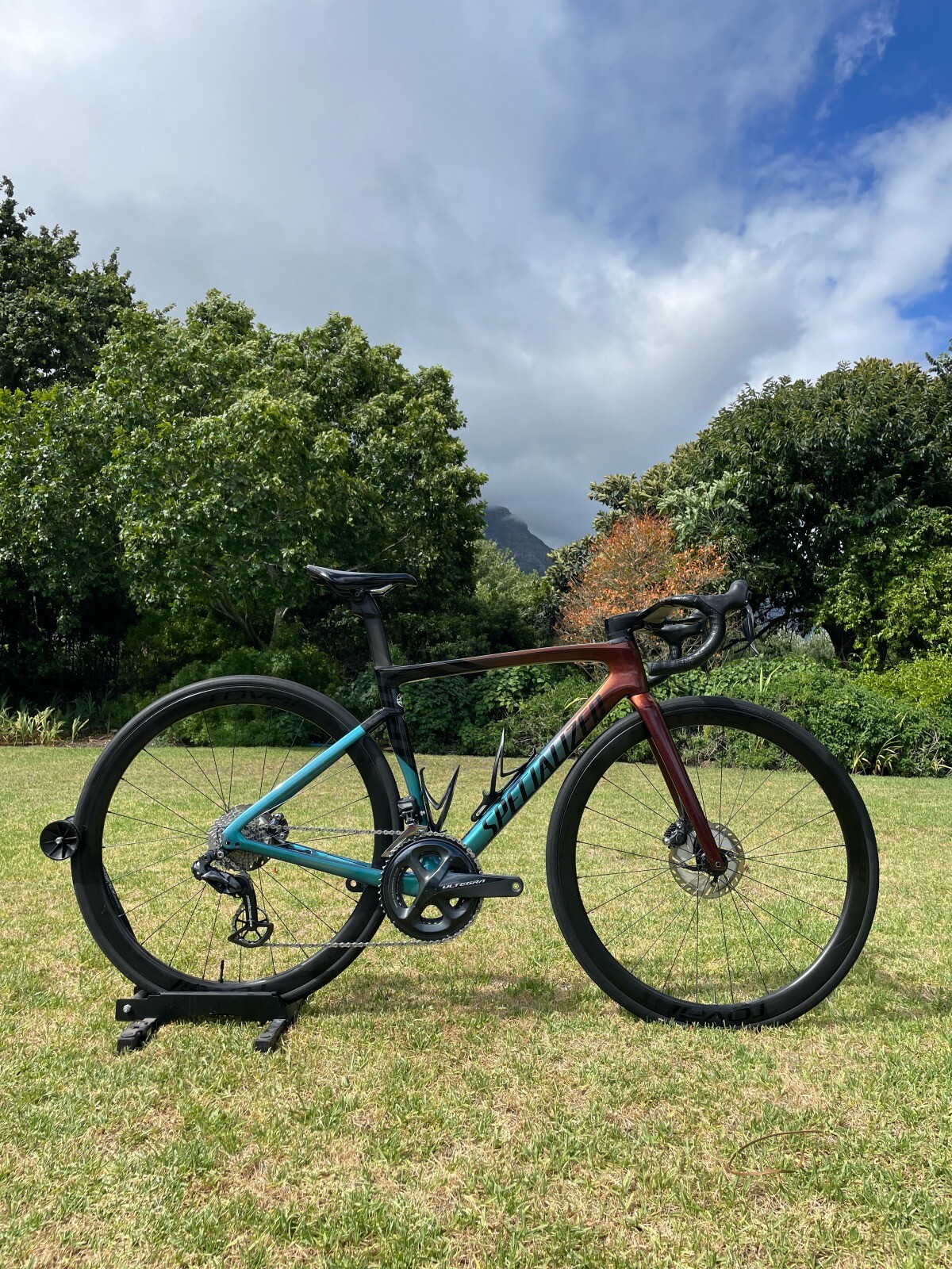 Specialized SL7 Tarmac | Road Bikes | Bike Hub