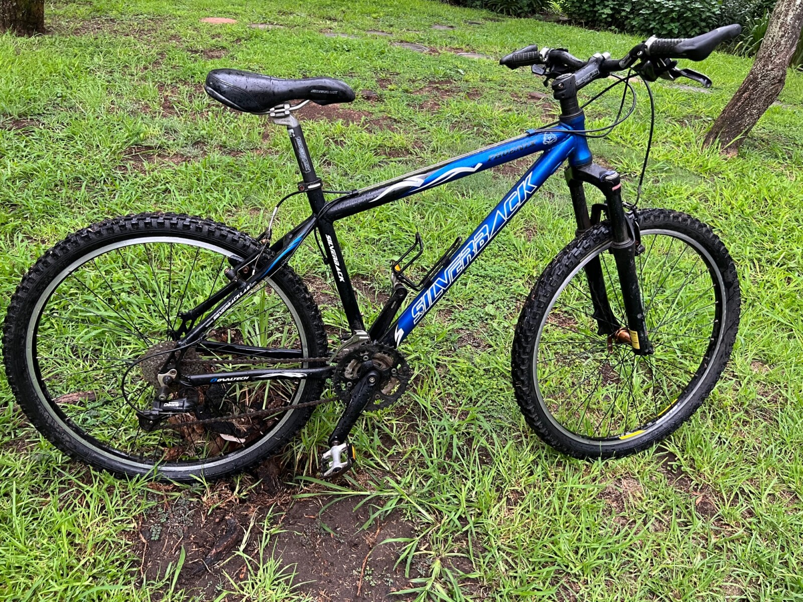 Silverback Phoenix | Hardtail Mountain Bikes | Bike Hub