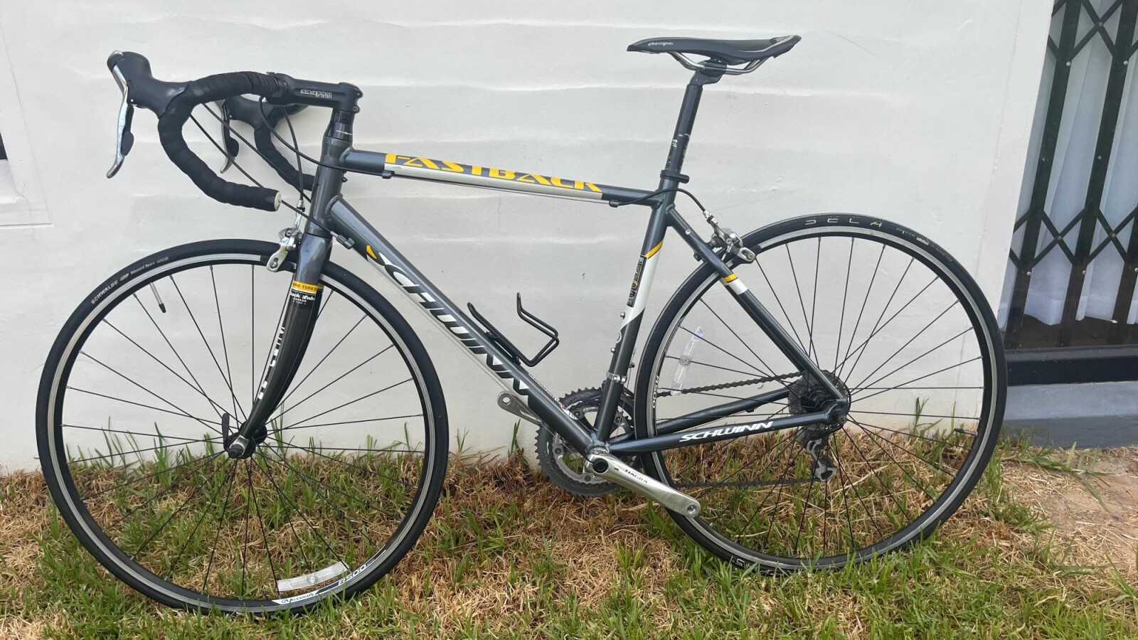 Schwinn Fastback | Road Bikes | Bike Hub