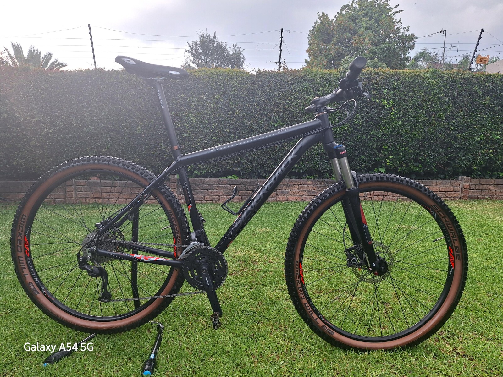 Silverback Spectra 29 (L) | Hardtail Mountain Bikes | Bike Hub