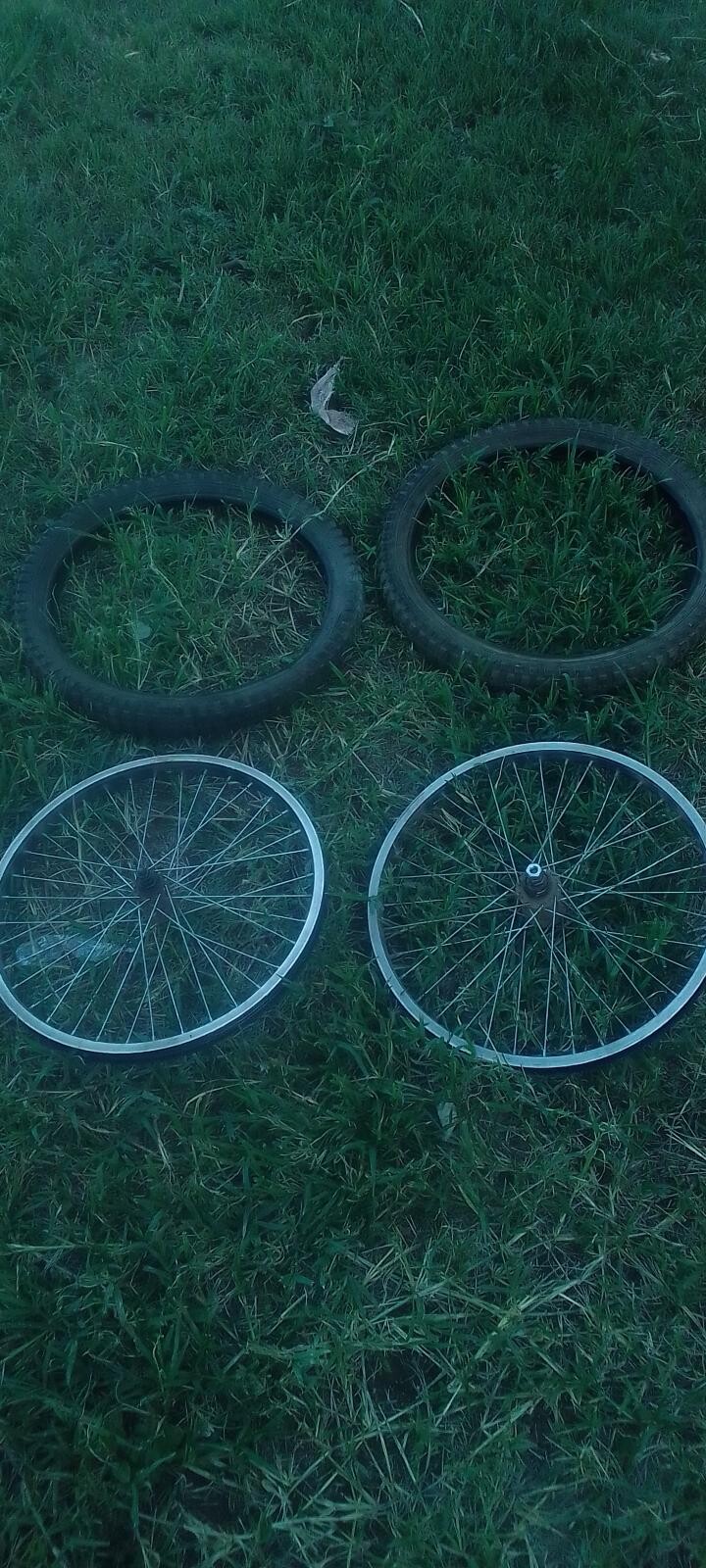 Mongoose rims and tires | Gravel Bike Wheels | Bike Hub