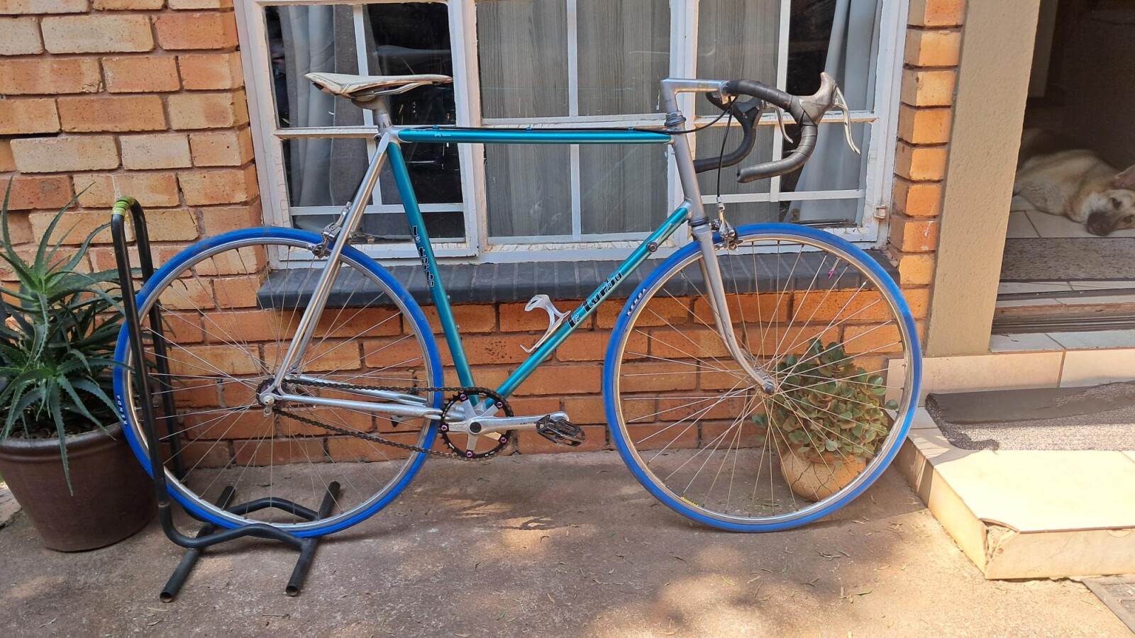 Single speed steel | Commuter Bikes | Bike Hub