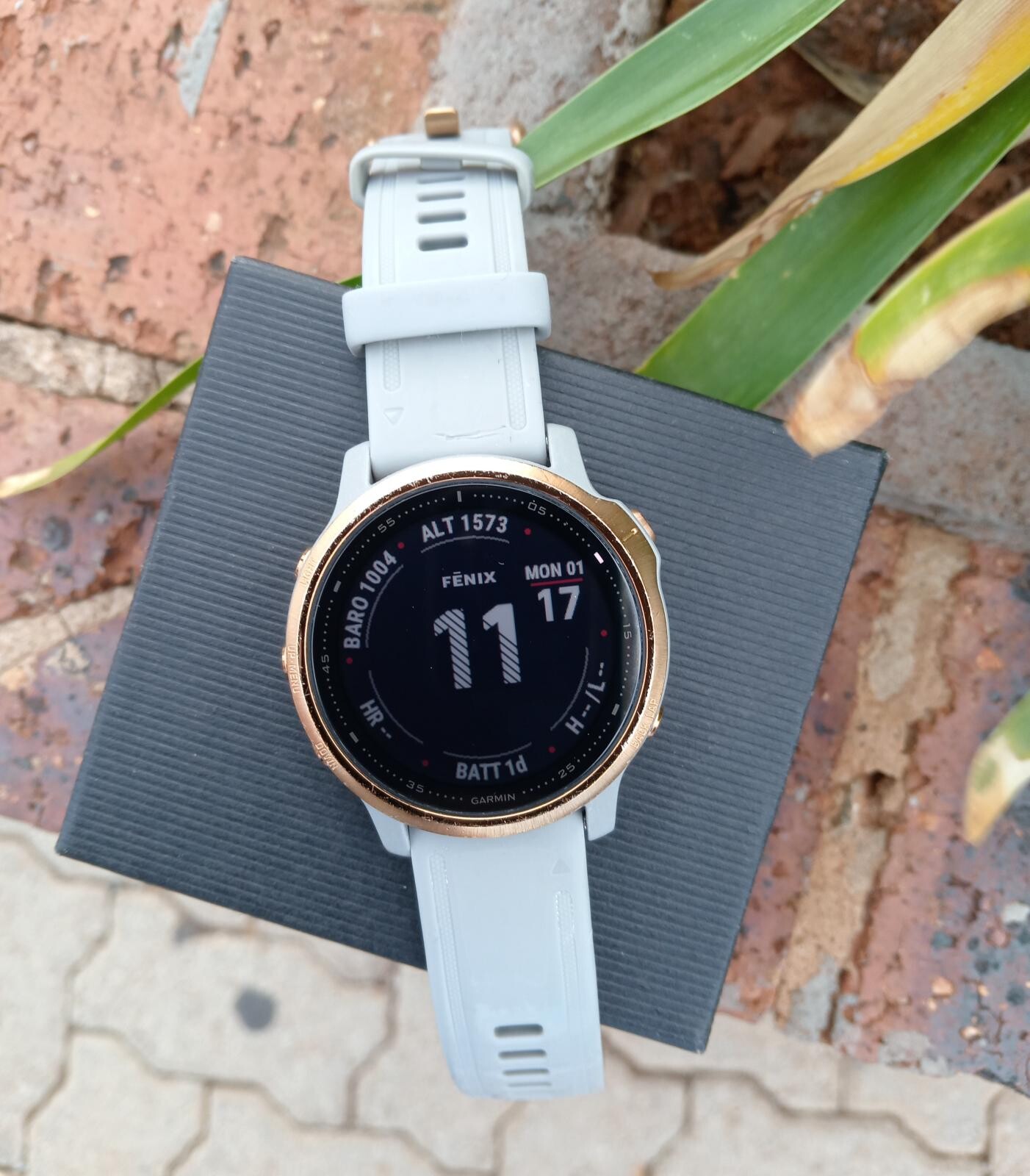 Garmin Fenix 6s Sapphire | Watches & Wearables | Bike Hub