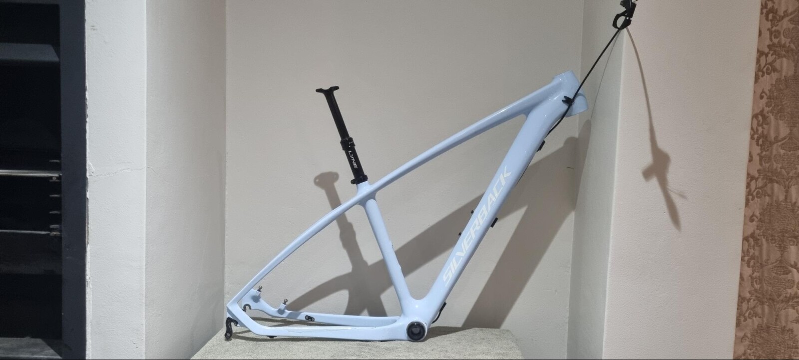 Silverback Carbon Hardtail Frame for Sale! | Hardtail Mountain Bike ...
