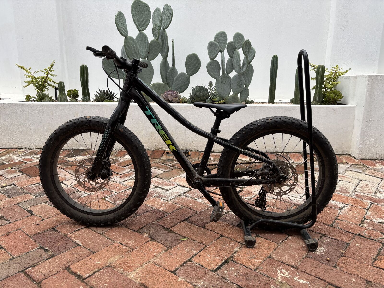 Trek Roscoe 20 | Kids Bikes | Bike Hub