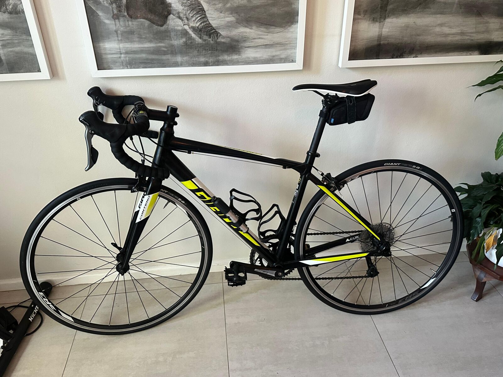 Giant Contend 3 (S) | Road Bikes | Bike Hub
