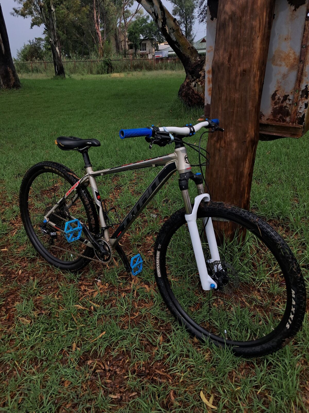 Titan expert 29r | Hardtail Mountain Bikes | Bike Hub