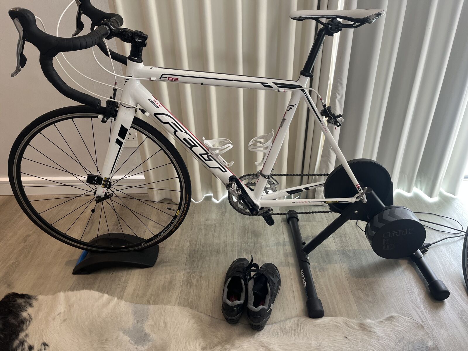 Felt F85 Custom 7005 plus Wahoo Kickr Core | Road Bikes | Bike Hub