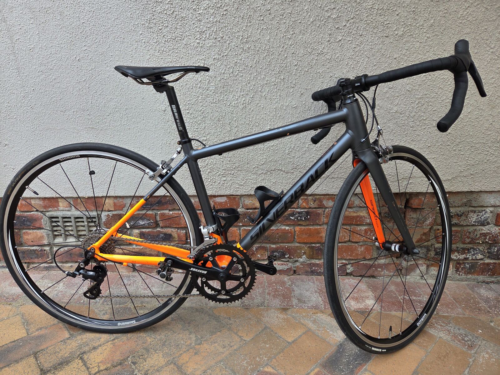 Silverback Siablo Race | Road Bikes | Bike Hub