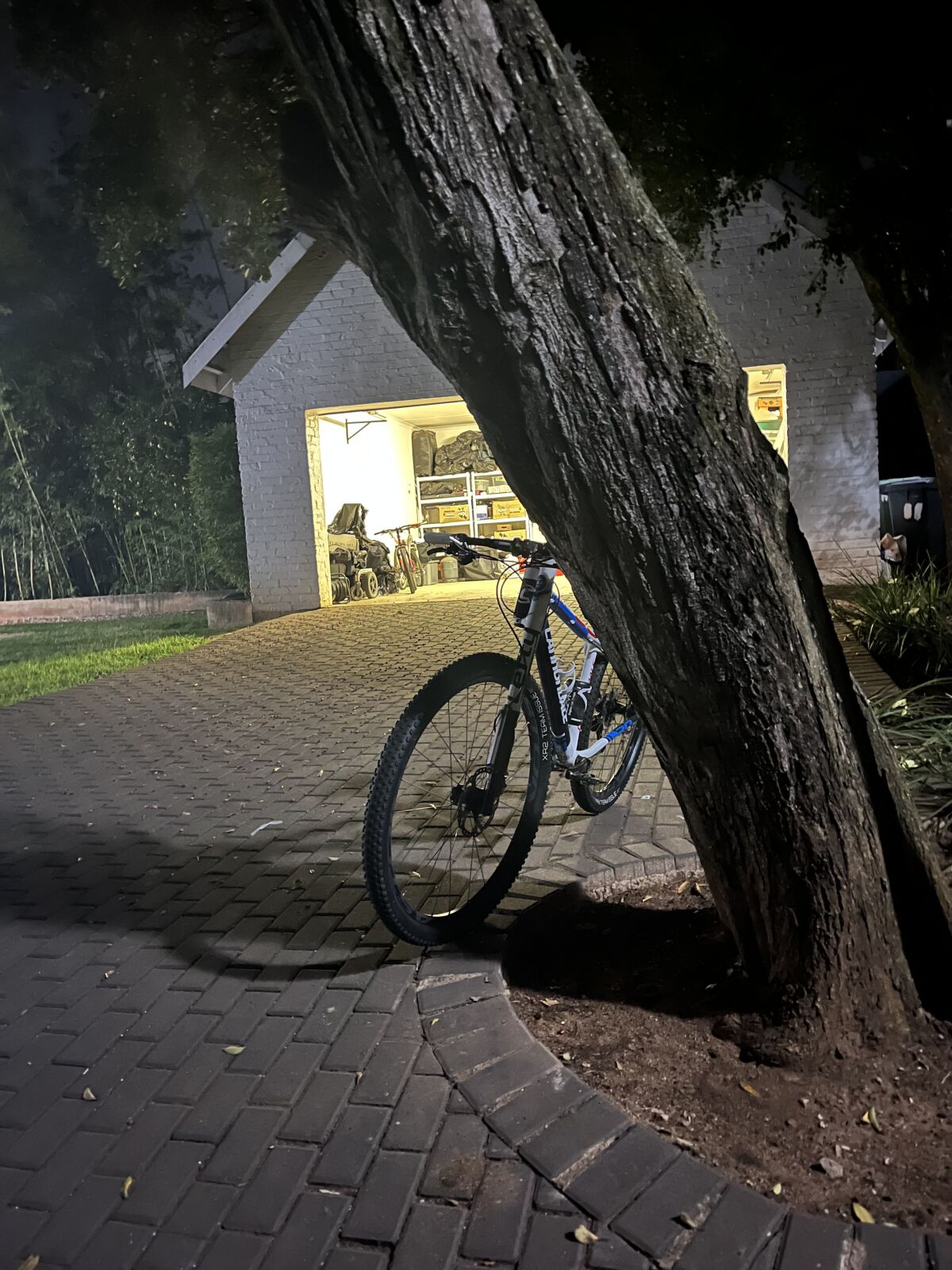 Cannondale F29 Hardtail MTB Fast & Lightweight | Hardtail Mountain Bikes | Bike Hub