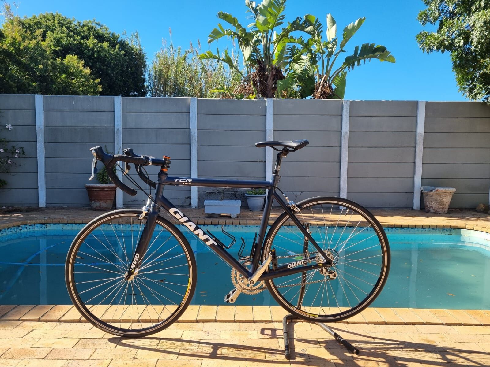 Giant TCR-TWO | Road Bikes | Bike Hub