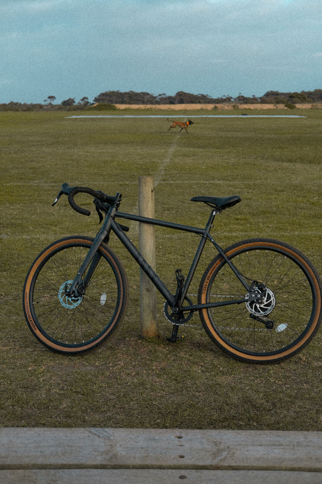 Rook 11 Speed Gravel (S) | Gravel Bikes | Bike Hub