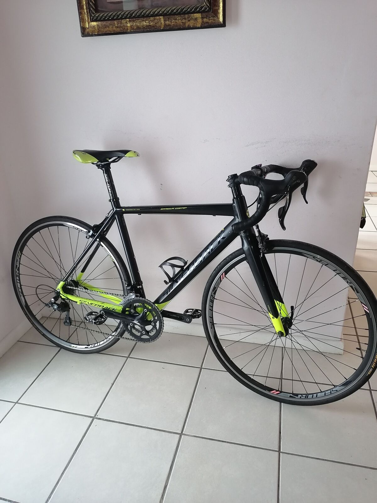 Silverback Strela Comp | Road Bikes | Bike Hub