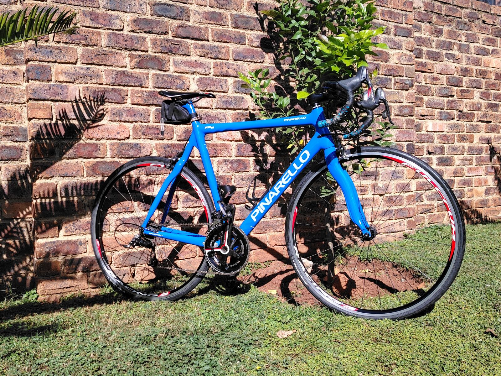 Pinarello fp6 | Road Bikes | Bike Hub