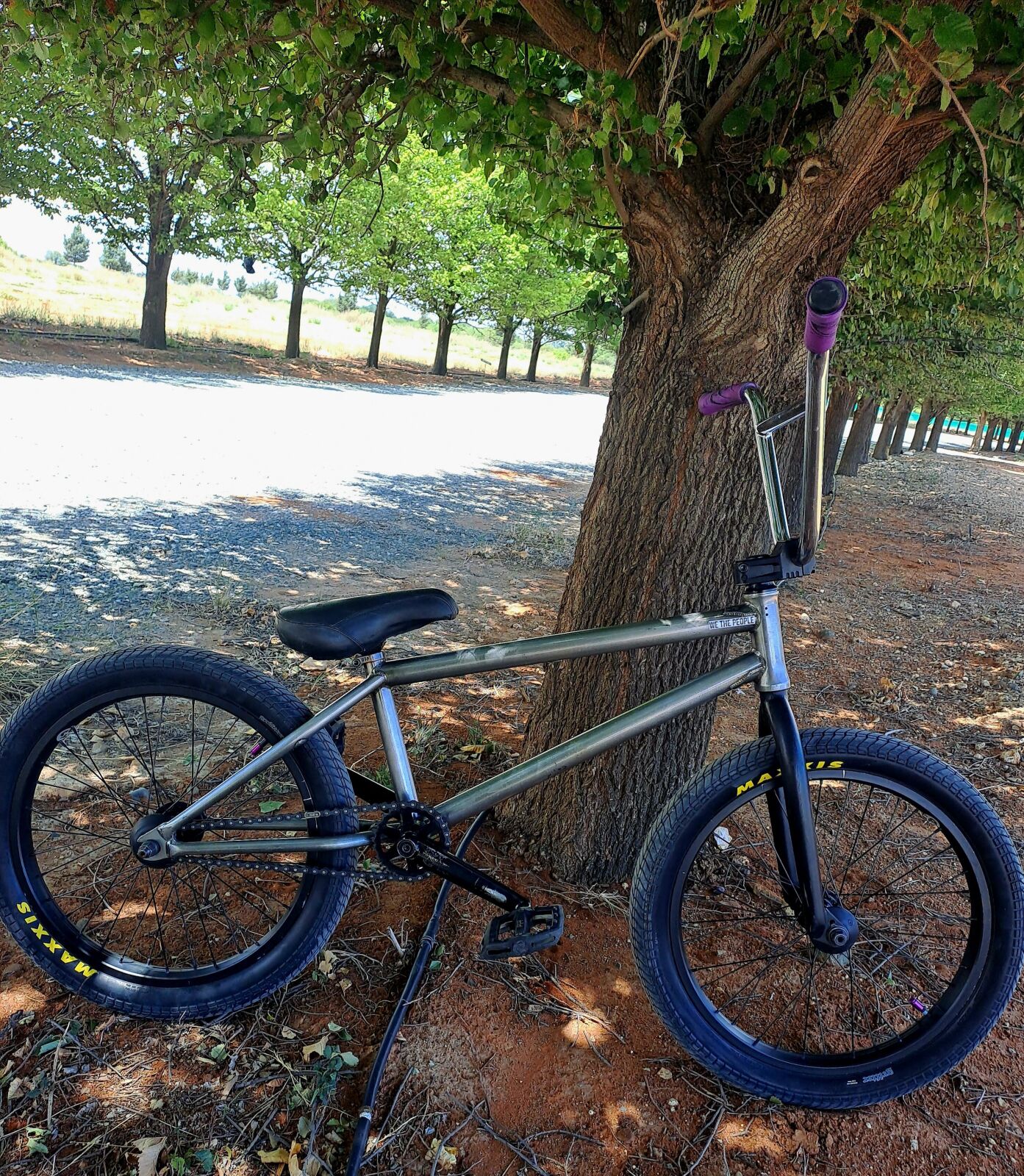 Custom bmx bike | BMX Bikes | Bike Hub