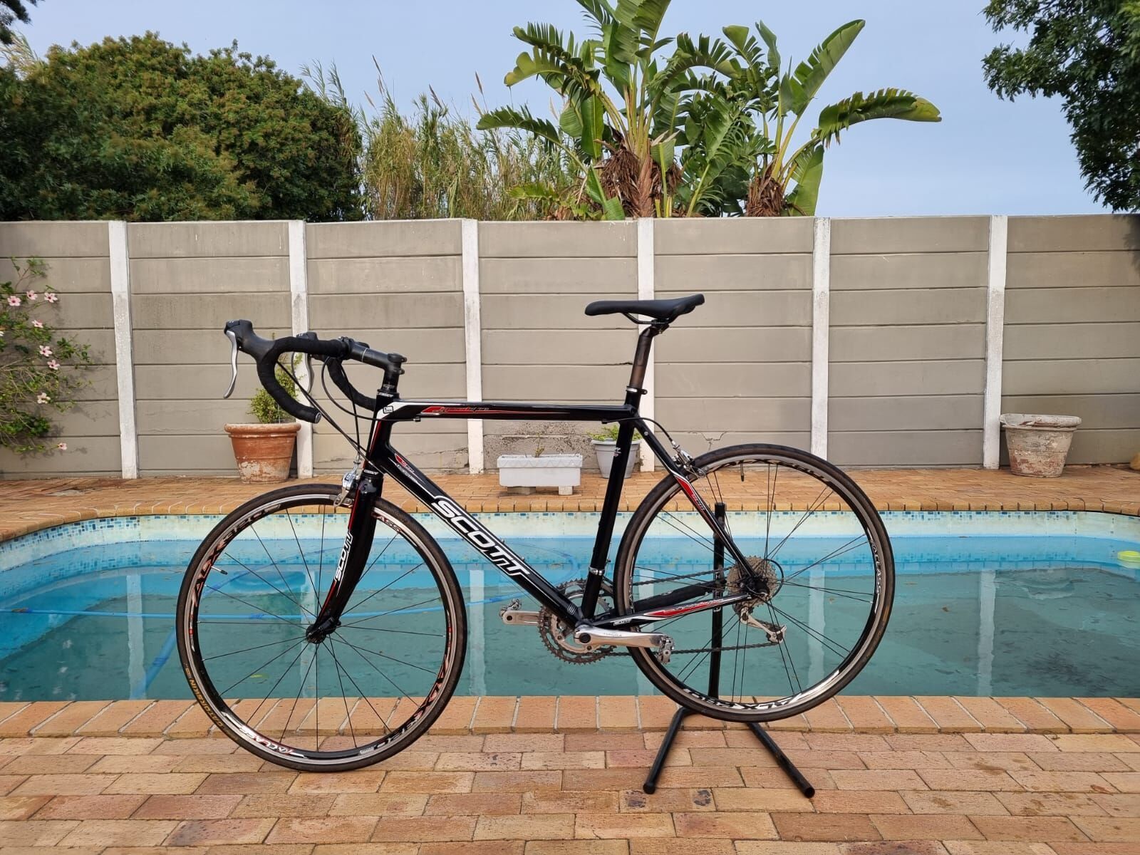 Scott Speedster (L) | Road Bikes | Bike Hub