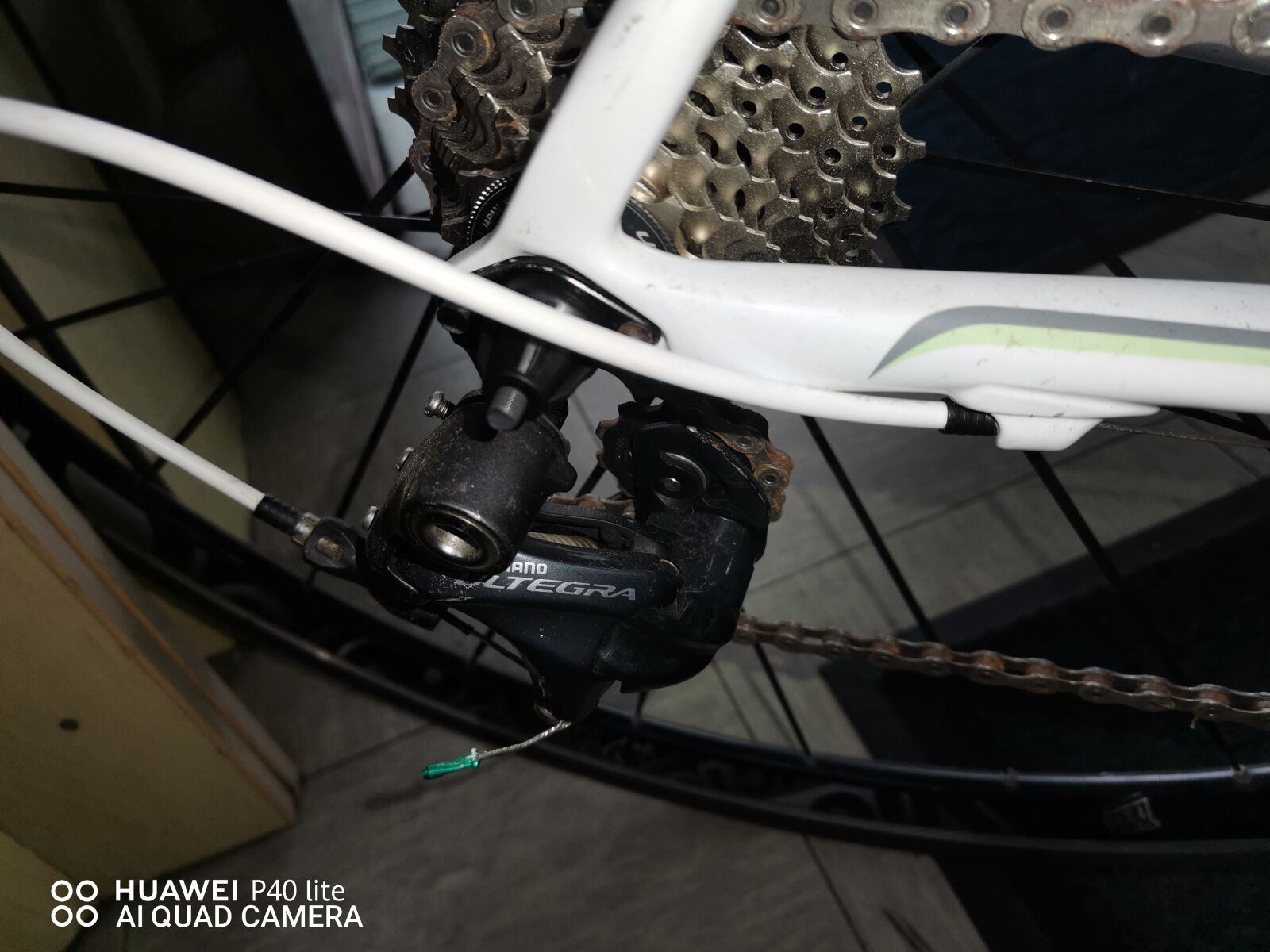 Cannondale Evo | Road Bikes | Bike Hub