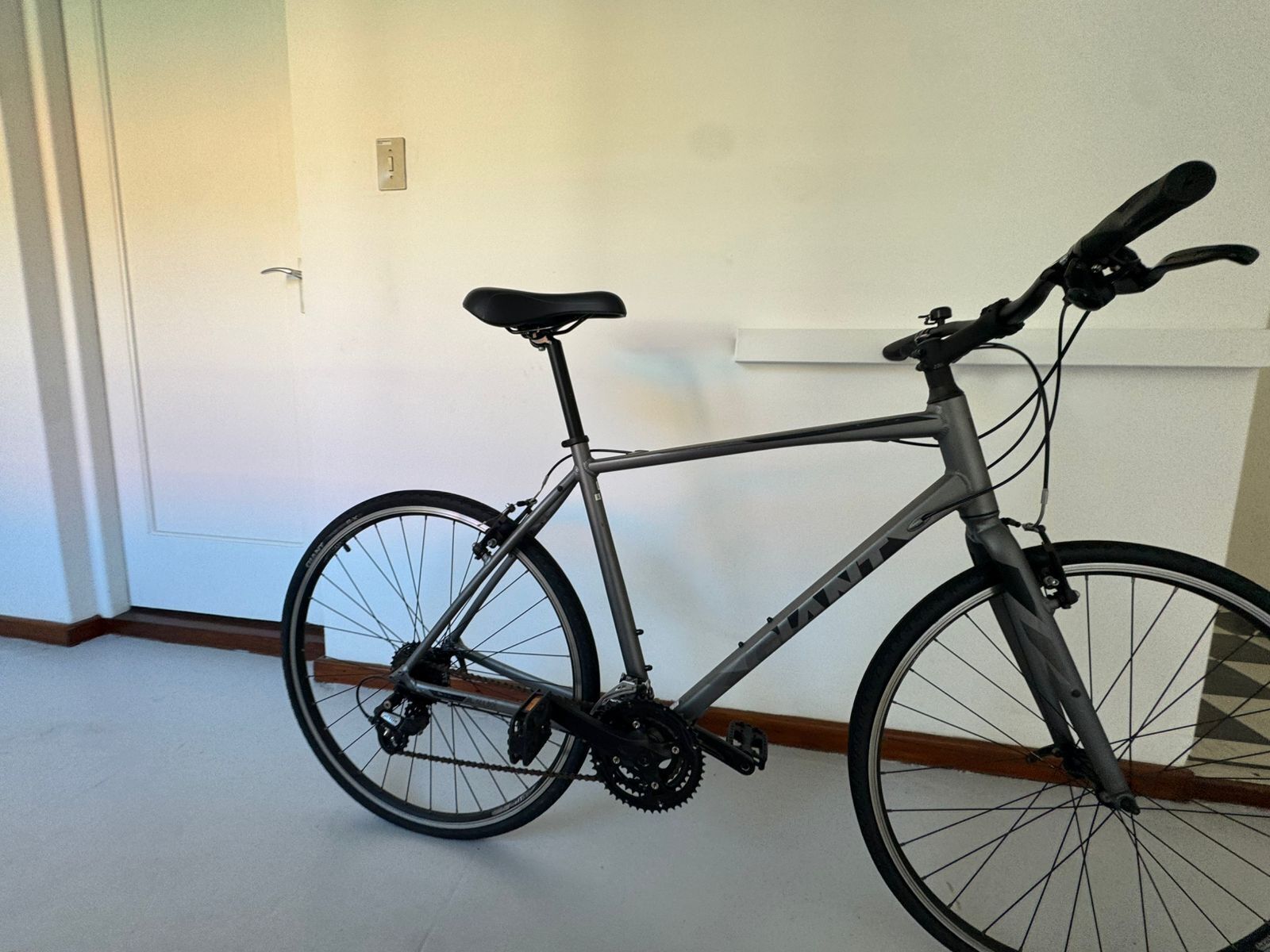 Giant Escape 2 (2019) bicycle - large | Commuter Bikes | Bike Hub