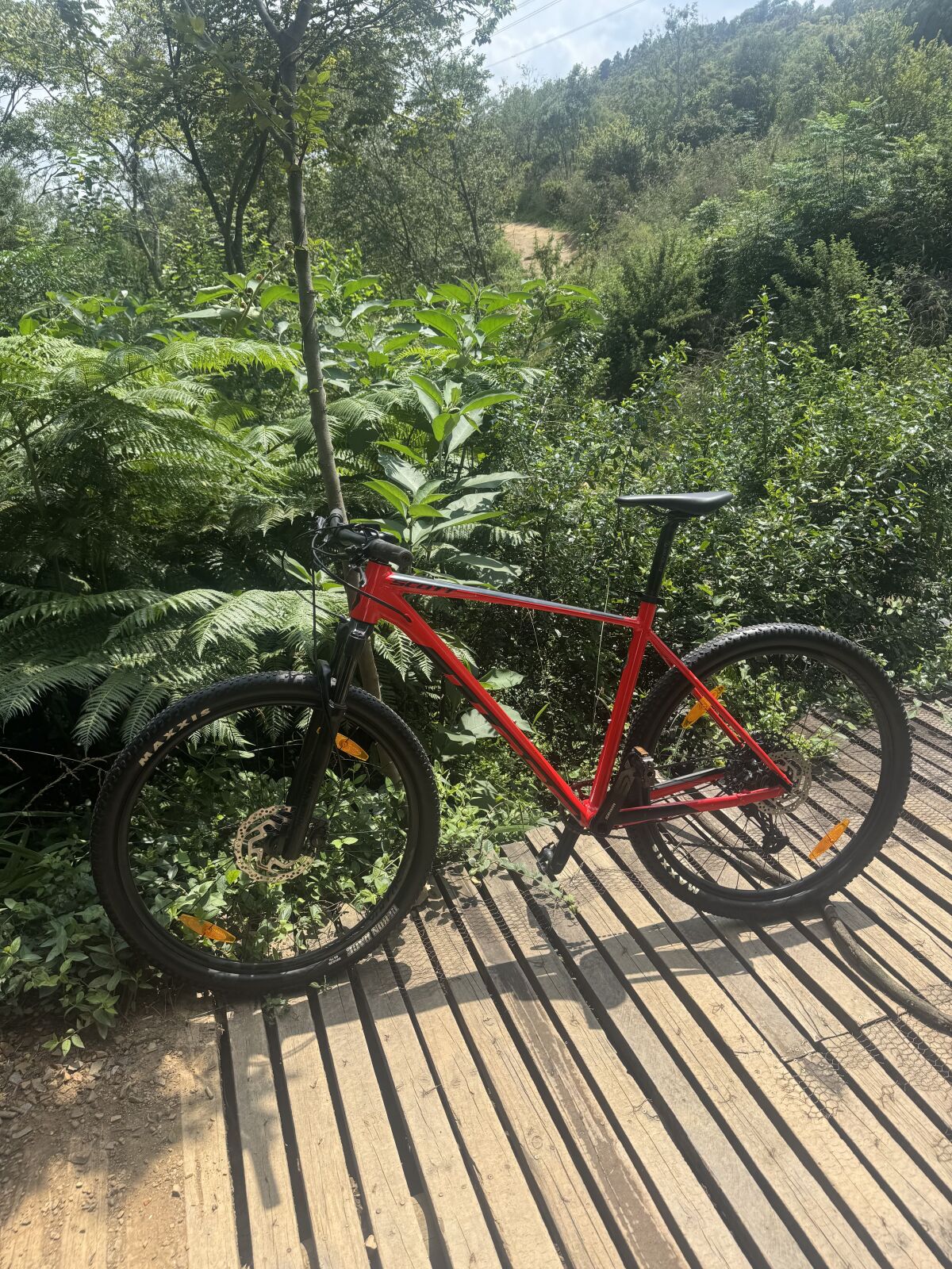 Scott Scale 900 Comp 2021 (XL) | Hardtail Mountain Bikes | Bike Hub