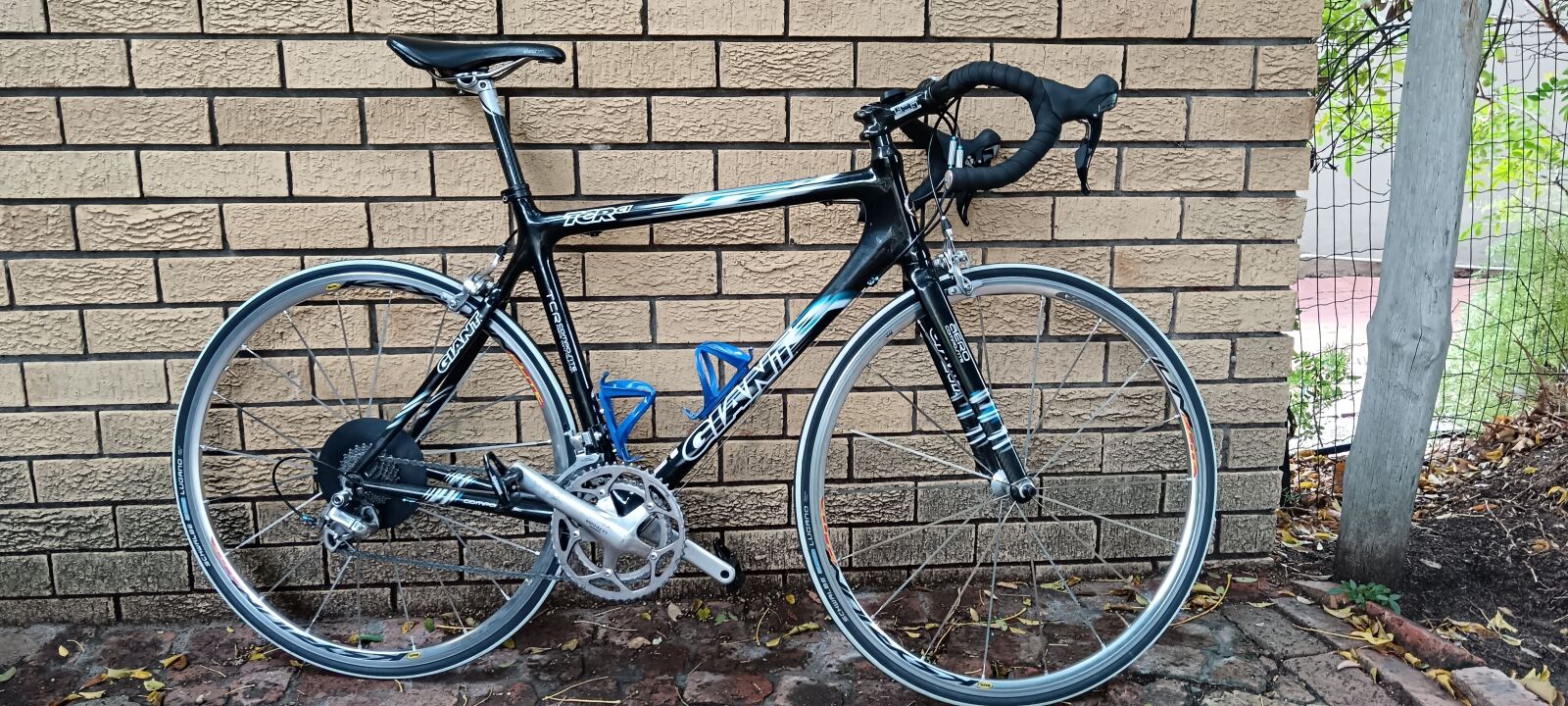 Giant TCR C1 Composite | Road Bikes | Bike Hub