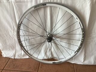 Alex Rims | Road Bike Rims | Bike Hub
