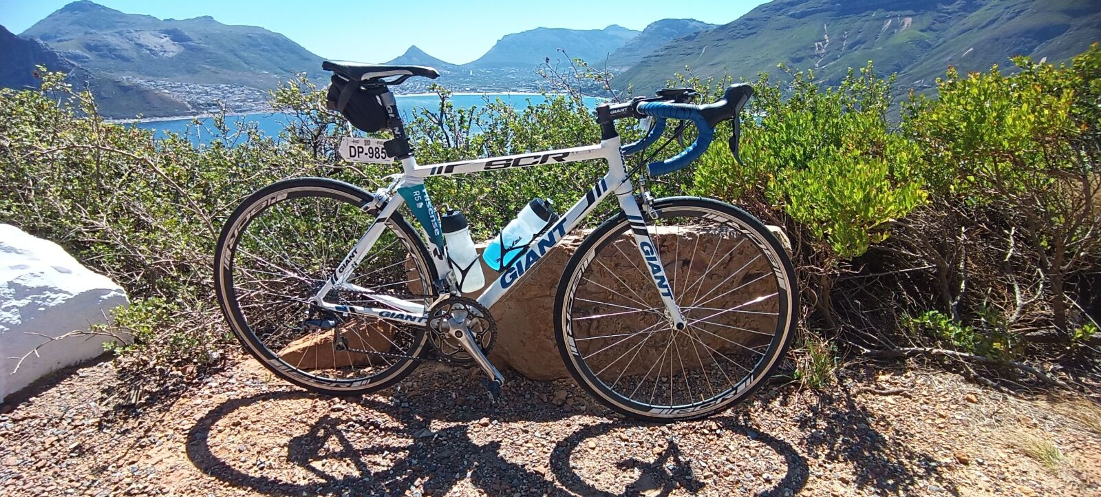 Giant SCR | Road Bikes | Bike Hub