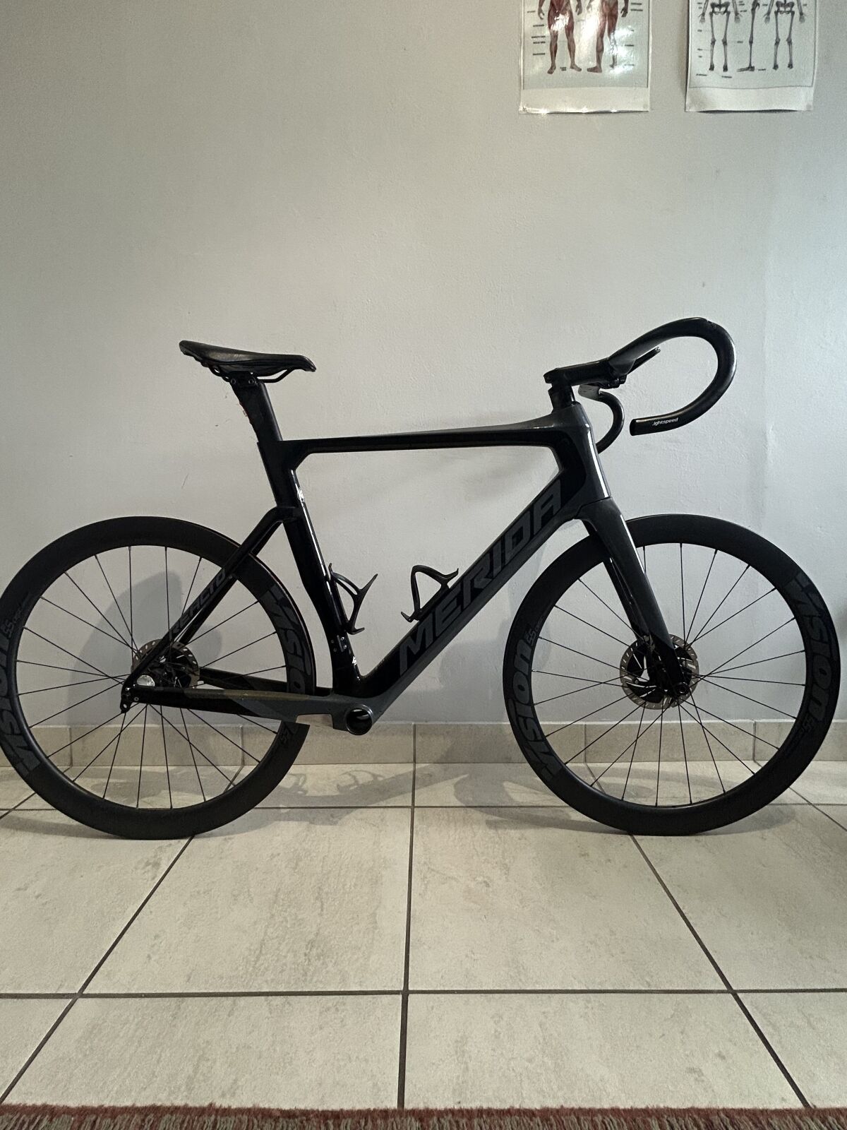 Merida Reacto Froce Edition | Road Bikes | Bike Hub