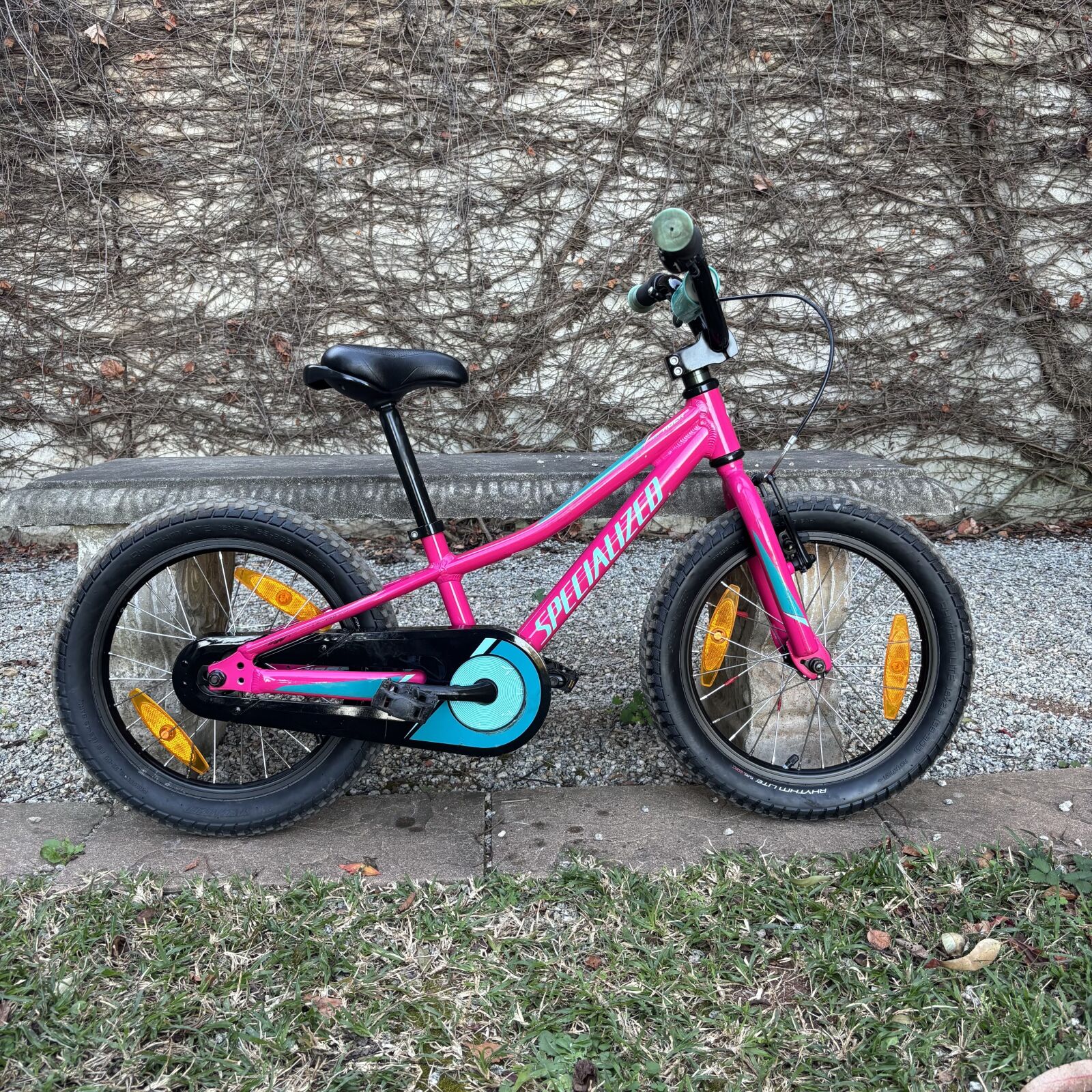 Specialized Riprock Coaster 16 | Kids Bikes | Bike Hub