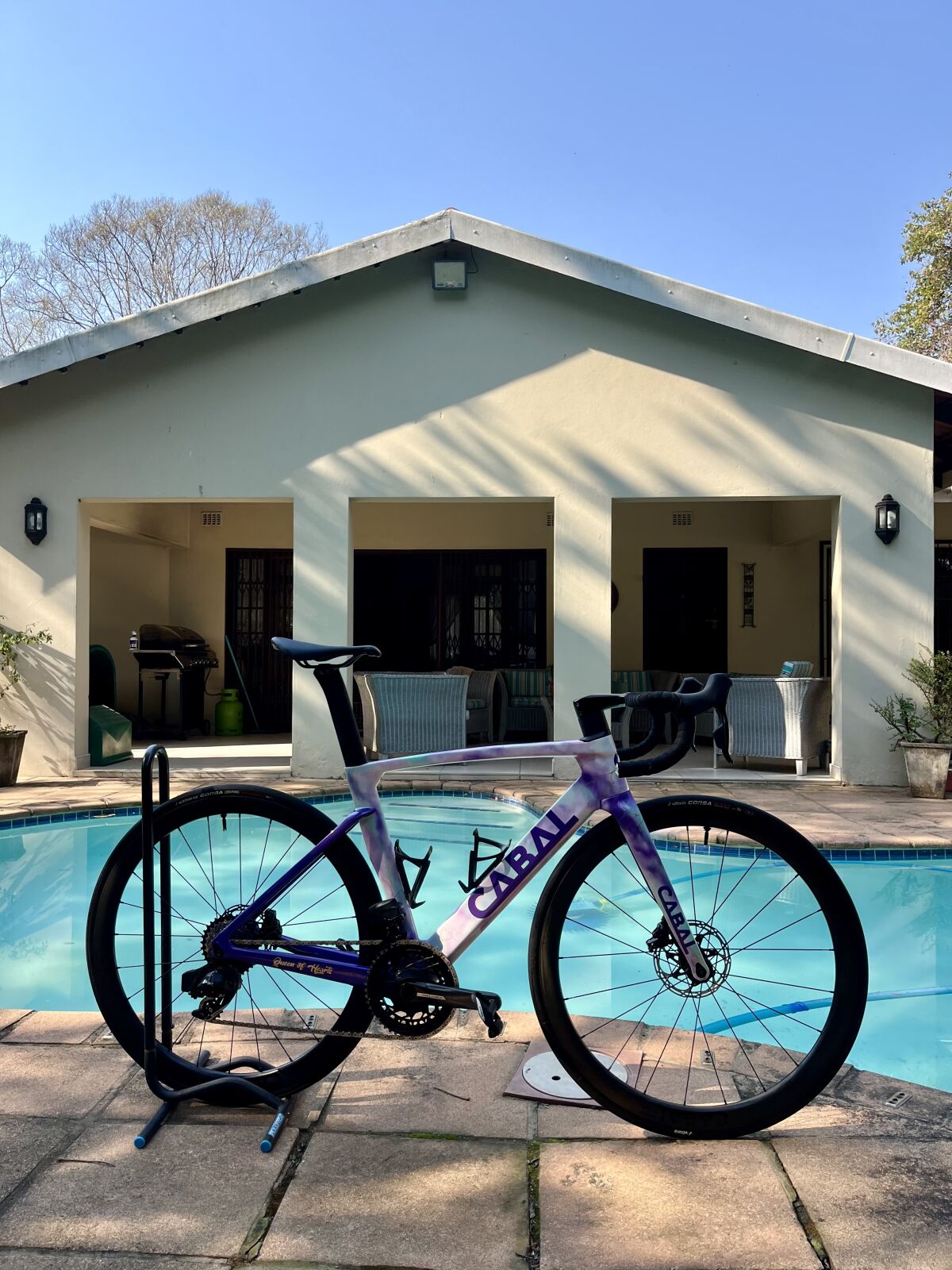 *Pristine* Carbon CABAL AE2 | Road Bikes | Bike Hub