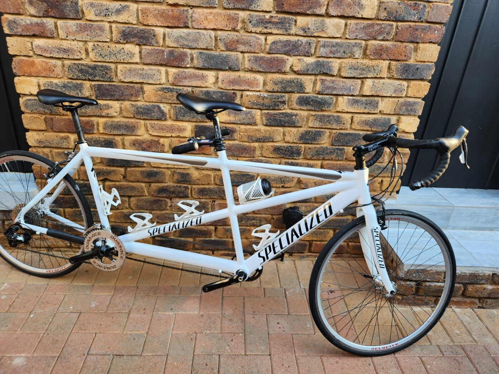 Tandem Large/Medium (Specilaized branded) | Tandem Road Bikes | Bike Hub