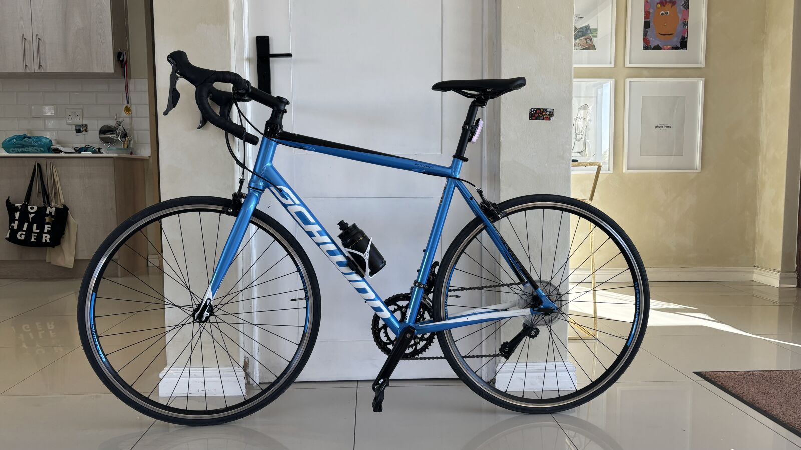 Schwinn Fastback Road Bike | Road Bikes | Bike Hub